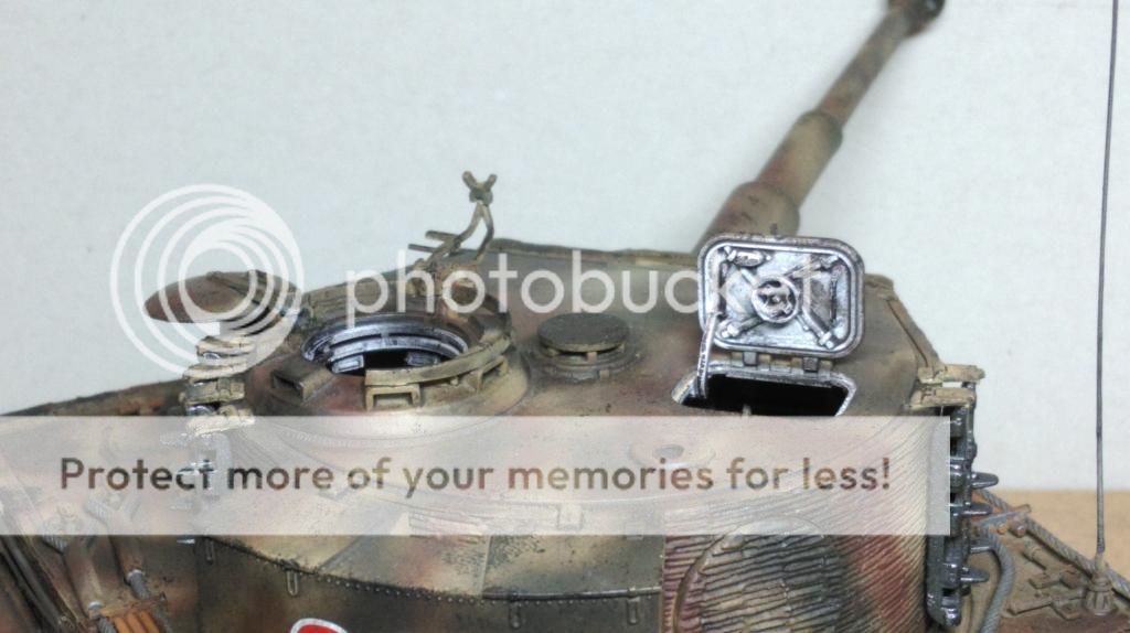 Tiger 221 - International Scale Modeller