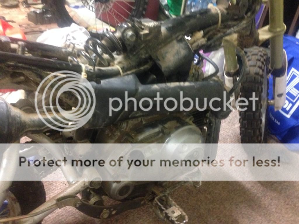 Locos TTR50 Build | Mini Dirt Bikes & Pit Bikes Forum