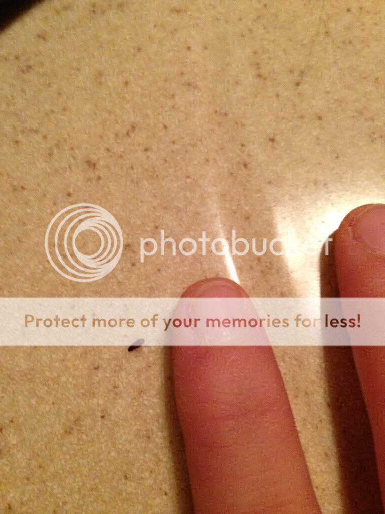 i1290.photobucket.com on reddit.com